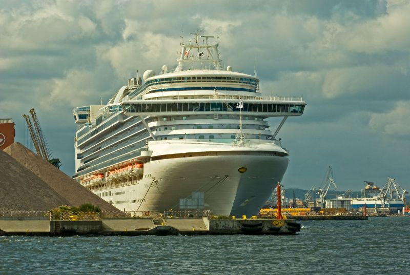 Crown Princess (Princess Cruises) - Vase de croaziera